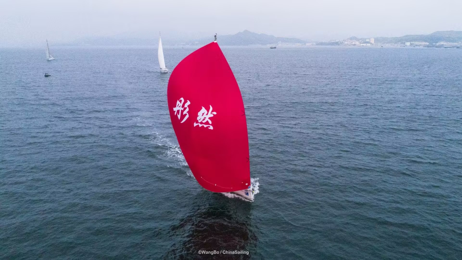 Wilfer Sails--The World's Leading Sailmaker' OEM