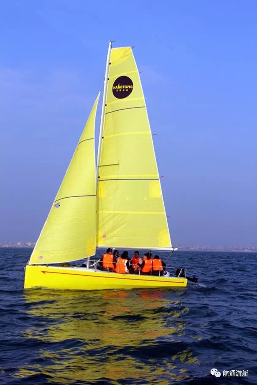 Wilfer Sails--The World's Leading Sailmaker' OEM